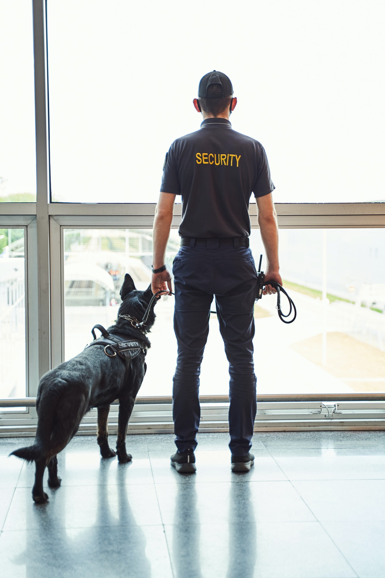 About Us | Detective Agency India